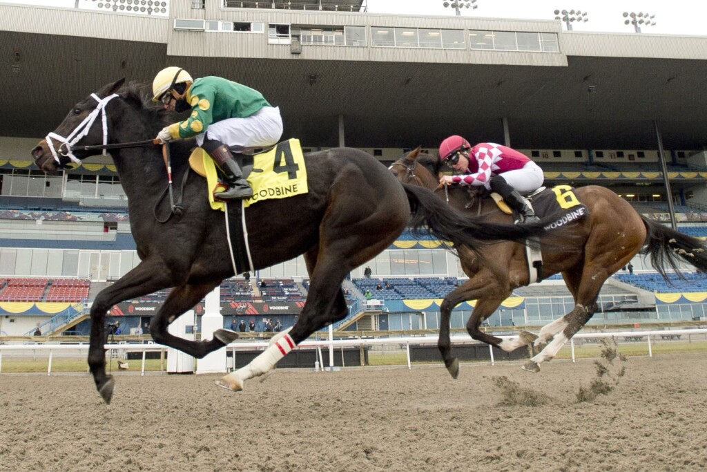 Attard pair ready for Fury Stakes challenge - Ontario Thoroughbred ...