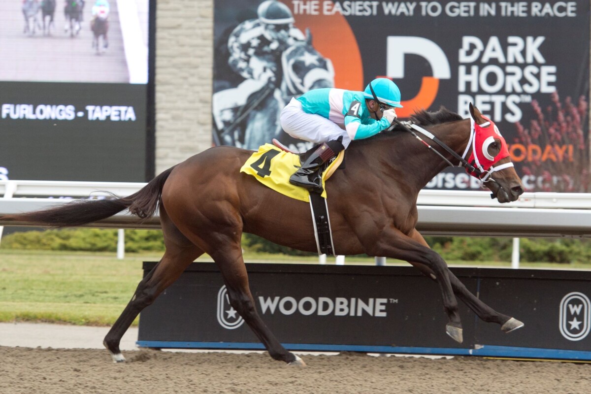 Trio of Ontario Breds Nominated to Triple Crown - Ontario Thoroughbred ...