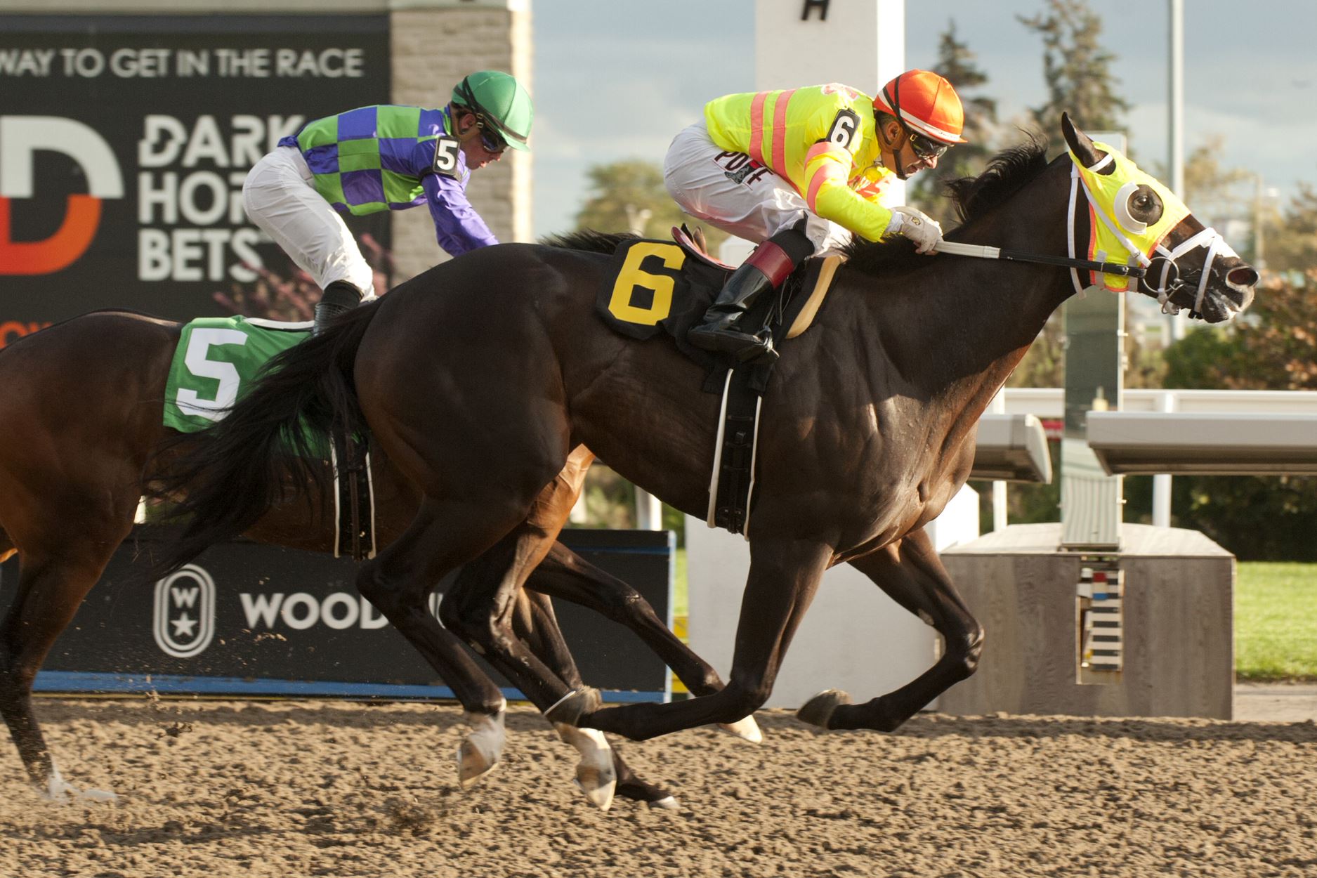 Star Ontario Breds Headline 124 Nominated to OLG Canadian Triple Crown ...